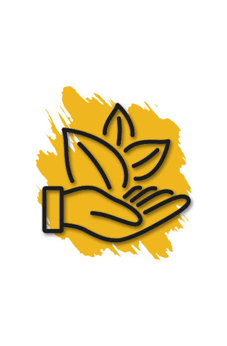 Evergreen Healthfoods | Ireland's Leading Health Stores