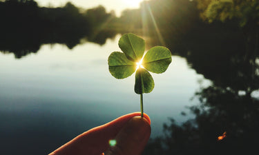 Evergreen Healthfoods | Irish Health & Wellness Store