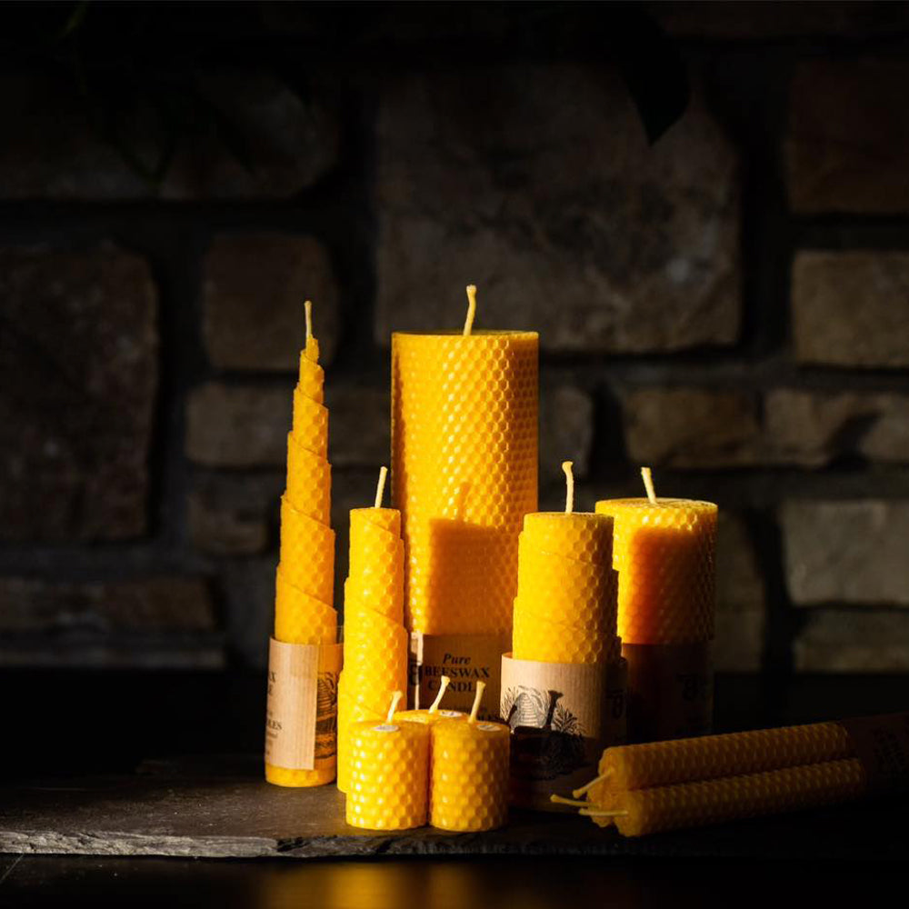 Rainbow Candles Irish Beeswax Candles - Coil | Evergreen