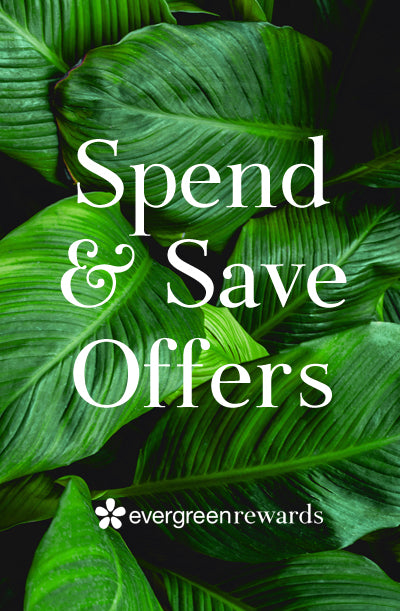 Evergreen Healthfoods | Irish Health & Wellness Store